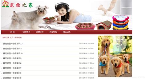 基于javaee下宠物领养系统的设计与实现java设计线上领取宠物的重要技术指标 Csdn博客