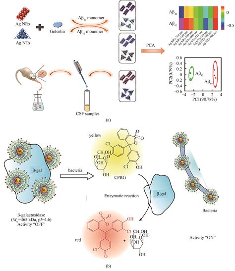 Research Progress In The Construction Of Nucleic Acid And Protein