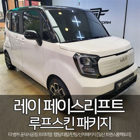 일산 랩핑샵 레이 페이스리프트 루프스킨 패키지 시공 네이버 블로그