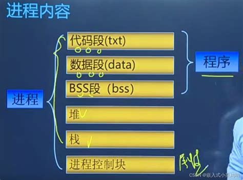进程管理与内存段：数据块、bss与子进程fork Csdn博客