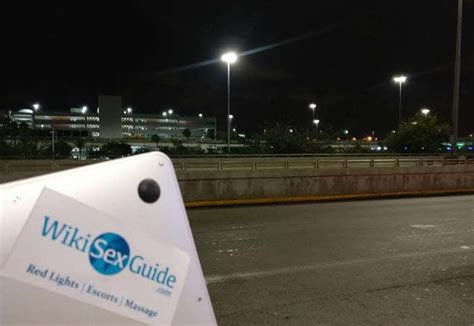 Miami Wikisexguide International World Sex Guide