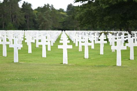 경치 공동 묘지 공물 군대 기념 기념비 나무 노를 젓다 녹색 대칭 들판 명예 묘 묘비 묘지 병역 서비스 수평선 십자가 애국심 야외에서