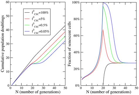 Dynamics Of Cell Fractions A The Growth Of The Cell Population