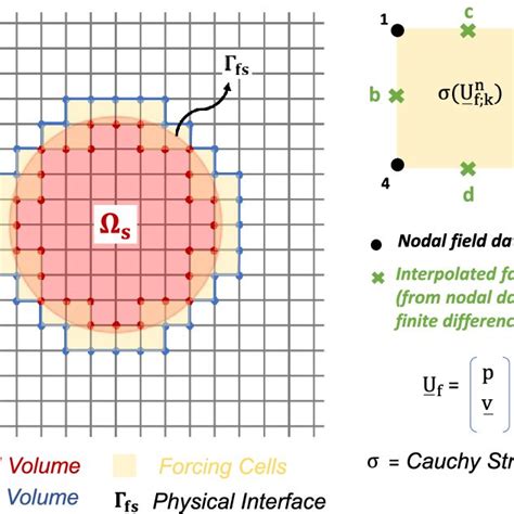 Illustration Of The Interpolation Process For The Reference Uniform Download Scientific
