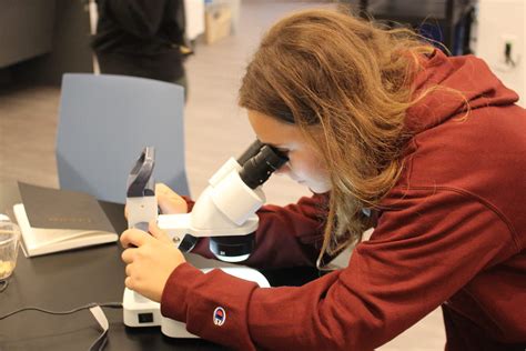 Splices And Slices 042625