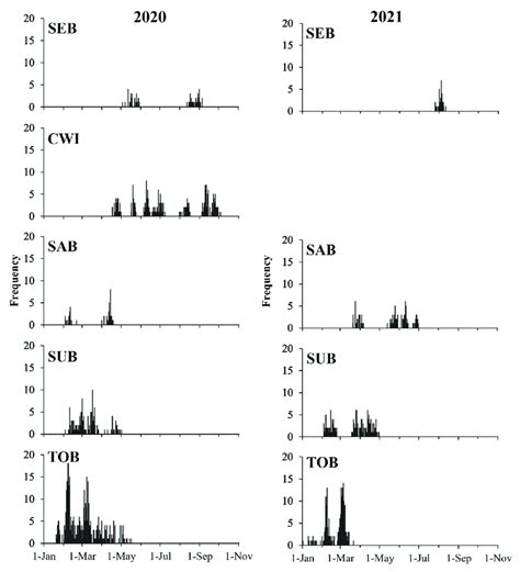 Spawning Date Distribution Of Anchovy Samples In 2020 2021 Download Scientific Diagram