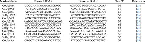 Ssr Primers And Sequence Information Download Scientific Diagram