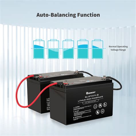12v 100ah Smart Lithium Iron Phosphate Battery W Bluetooth Overlandgcc