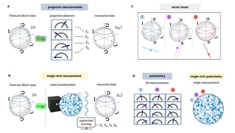 Measure Multidimensional Complex And Unknown Polarization States In A Single Shot All You Need