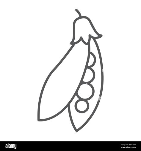 Pea Pod Thin Line Icon Vegetable And Diet Peas Sign Vector Graphics