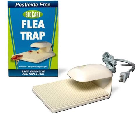 Whats The Best Flea Trap And Do Flea Traps Even Work Pest Hacks