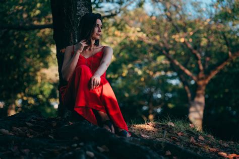 42％割引α Eマウント【メーカー直売】 Sony Fe 85mm F1 4 Gm レンズ レンズ 単焦点 カメラα Eマウント Ota