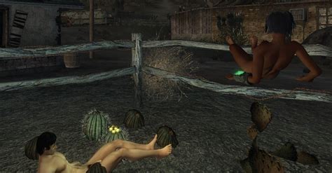 Custom Animations Technical Support Fallout Sexout Loverslab