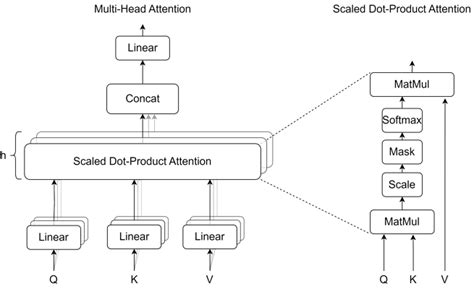 Cnns With Multi Level Attention For Domain Generalization