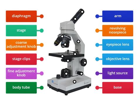 Microscope Label The Parts Labelled Diagram