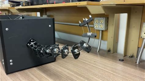 Robotic Continuum Arm Youtube