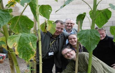 Our Vision Trellis