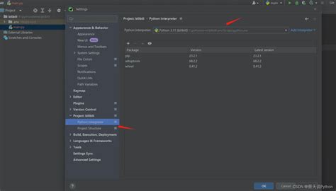 Python虚拟环境virtualenv安装保姆级教程 Windows和linux 阿里云开发者社区