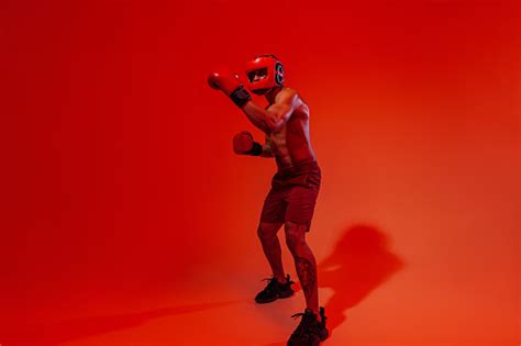 스튜디오 배경에서 싸움을 위해 연습하는 헤드 가드와 권투 글러브를 착용한 스포티한 남자 25 29세에 대한 스톡 사진 및 기타