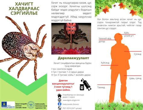 Нийслэлийн Эрүүл мэндийн Нийслэлийн Эрүүл мэндийн газар