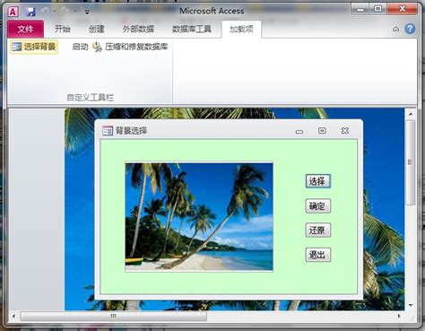 自行选择窗体背景图片示例【access软件网】