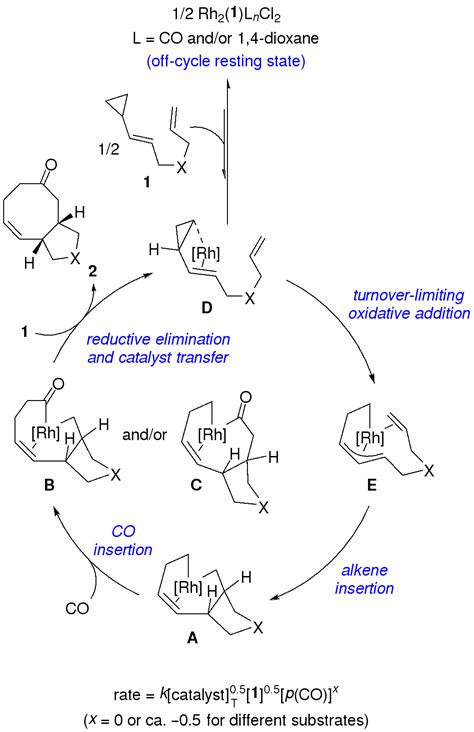 化学学院余志祥课题组十五年的[5 2 1]反应机理研究取得进展 生物通