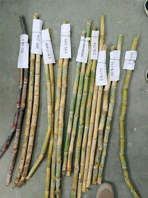 Zeeshan Khalid Posted On Linkedin