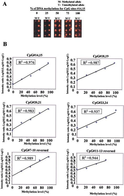Methylation Specific Oligonucleotide Microarray A New Potential For