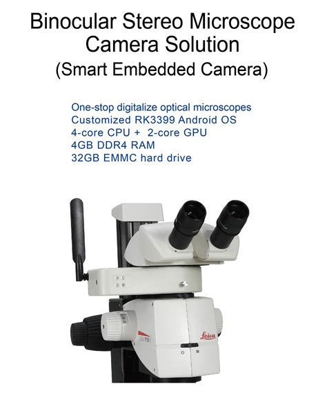 Stereo Microscope With Camera At Hee Slocum Blog
