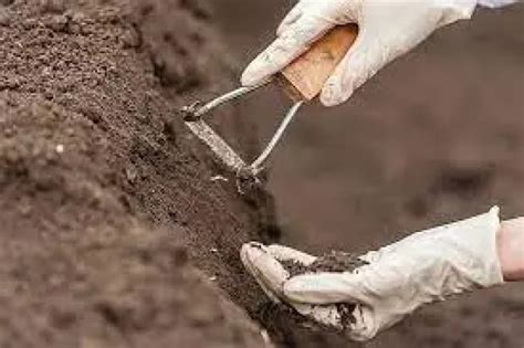 The Science Of Pedology And Functions Of Soil Wealth In Wastes