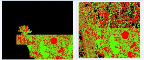 arcgis imagery analysis difference raster errors geographic