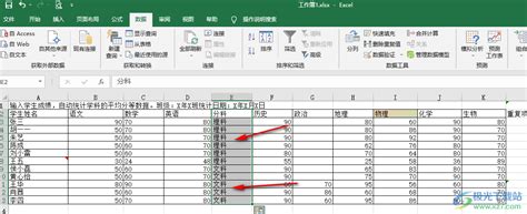 Excel如何把相同的内容排在一起？ Excel把相同的内容排在一起的方法 极光下载站