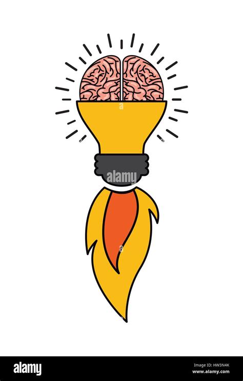 Human Brain Design Stock Vector Image Art Alamy