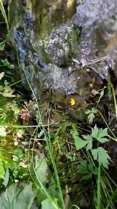 природа рядом с большой горой Иримеля Youtube