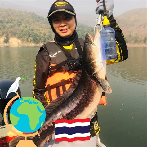 Thai โหลดฟรี บทความสอน Pid Control And Fuzzy Logic Control เรียนรู้การสร้างระบบควบคุม เพื่อ