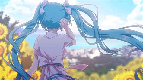 五麦 博客园