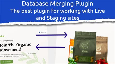 The Best Way To Work With Wordpress Staging Environment Database Merging Plugin Youtube