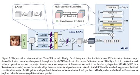 Learning Relation Aware Facial Expression Representations With Transformerssummary By Anmol