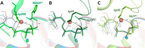 Conformation Of Native Atp Molecules In Selected Crystal Structures Download Scientific Diagram