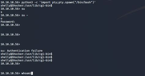 hack the box shocker walkthrough steflan s security blog