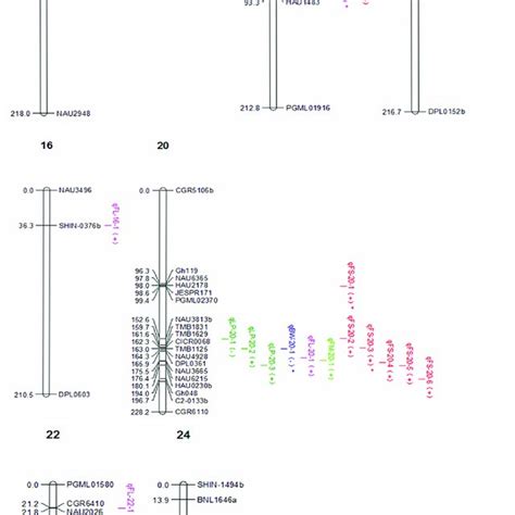 Qtl Of Fiber Quality And Yield Related Traits Mapped In The Linkage