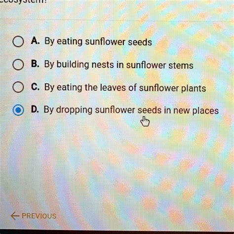 Solved How Does A Cardinal Help Increase The Size Of The Sunflower