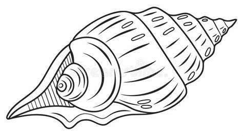 Seashell Conch Shell Drawing Illustration Vector Design Generative Ai Stock Vector