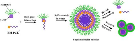Diagram Illustrating The Creation Of Temperature And Ph Sensitive Download Scientific Diagram