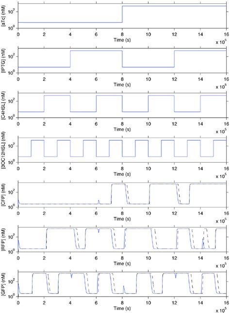 Simulation Of Automatically Generated Genetic Regulatory Networks For