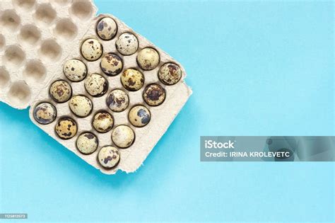 블루 종이 바탕에 골 판지 상자에 메 추 라 기 계란 템플릿 상단 보기 복사 공간 글자 텍스트 또는 디자인 갈색에 대한 스톡