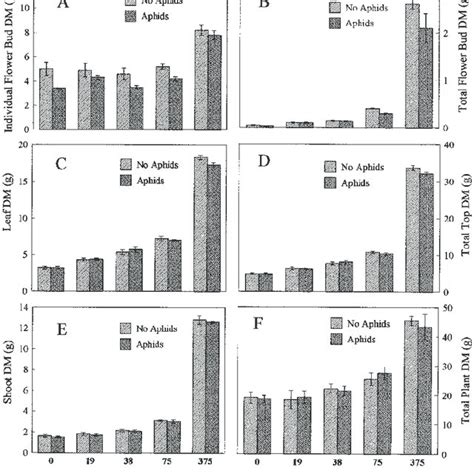 Effect Of Leaf Stage Fertility And Aphids On A Leaf Chlorophyll