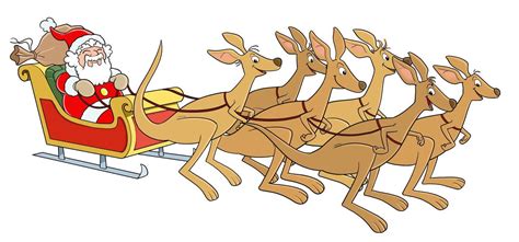 Names Of The Six White Boomers Aussie Christmas Christmas In