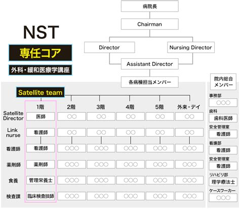 NSTの概要藤田医科大学 七栗記念病院