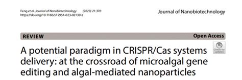 医学院本科生在国际知名学术期刊发表高水平研究论文 河南中医药大学